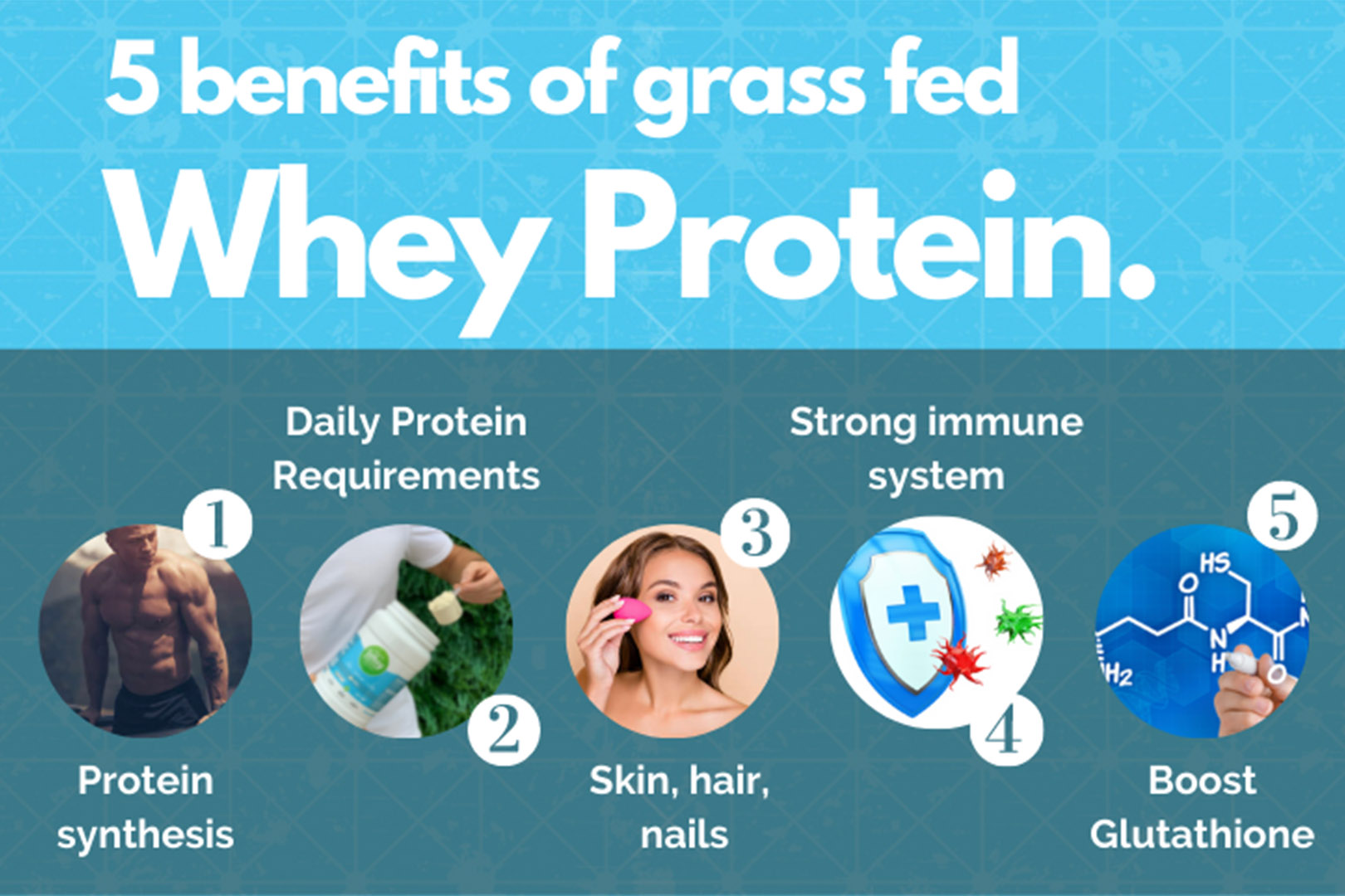 Life Grip: 5 Surprising Benefits of Whey Protein - Life Grip Life Grip: 5 Surprising Benefits of Whey Protein - Life Grip